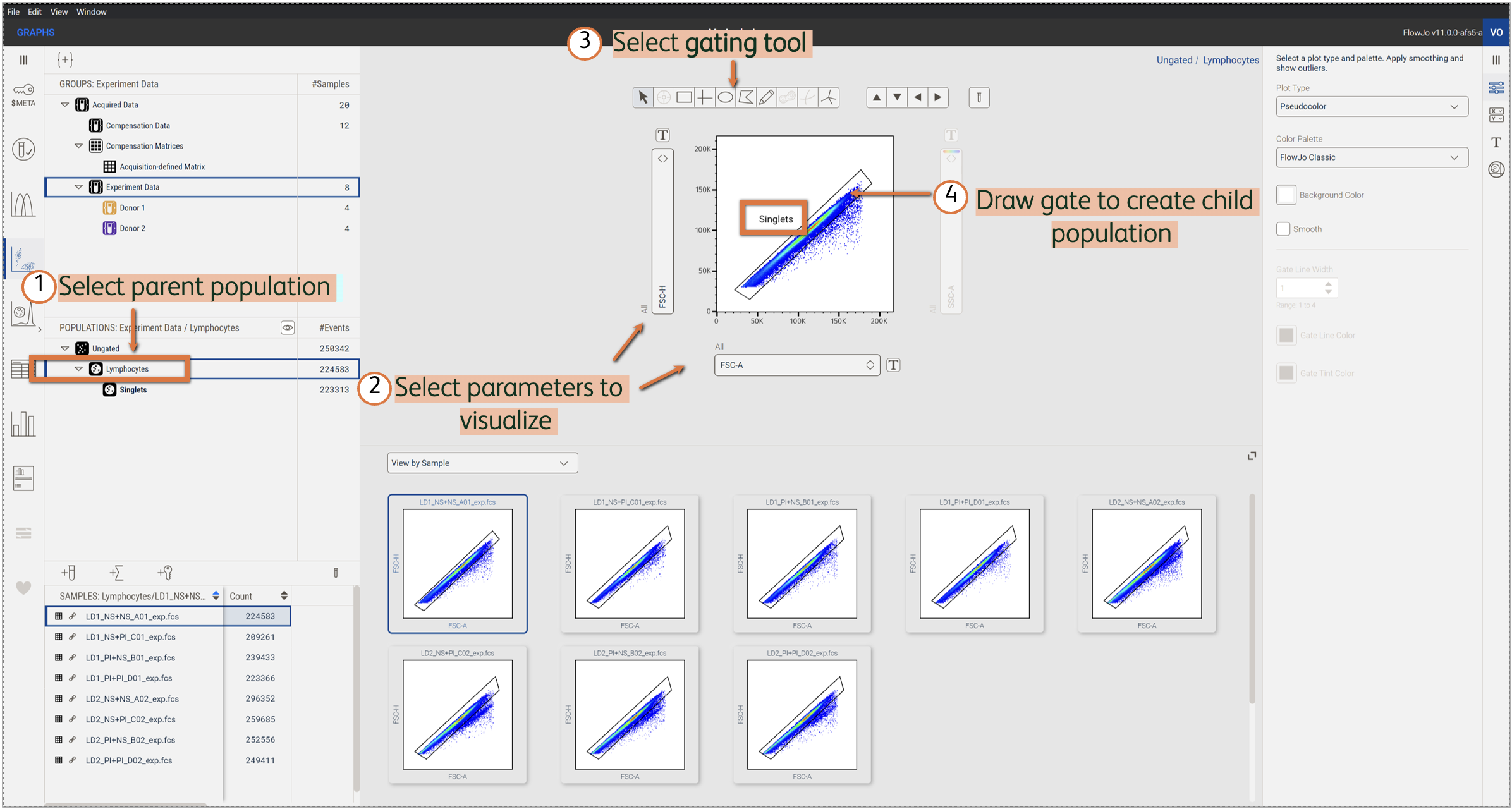 Primary Plot | FlowJo, LLC